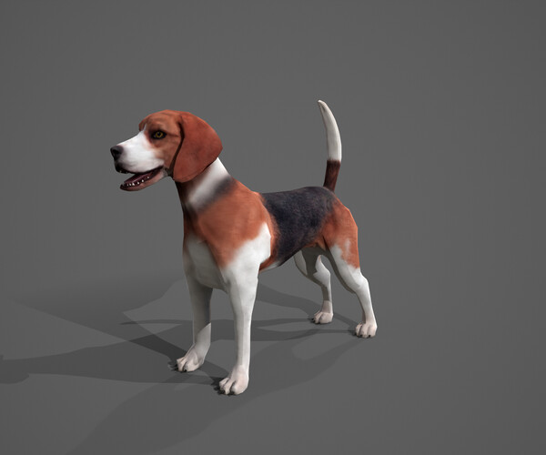ArtStation - Beagle Dog | Game Assets