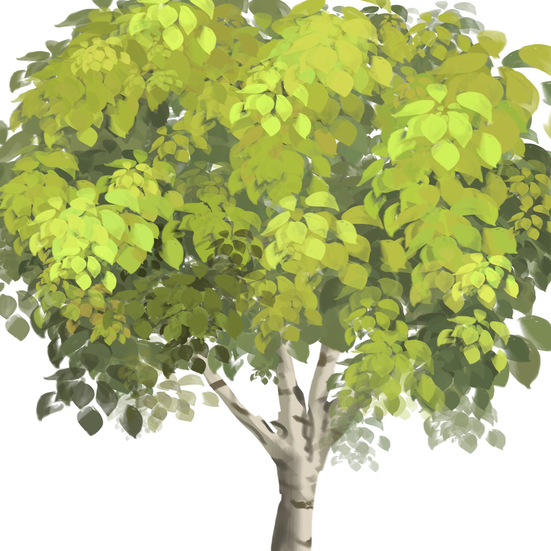 ArtStation - TREE PROCREATE BRUSH PACK 1 by Gasdrawn | Brushes