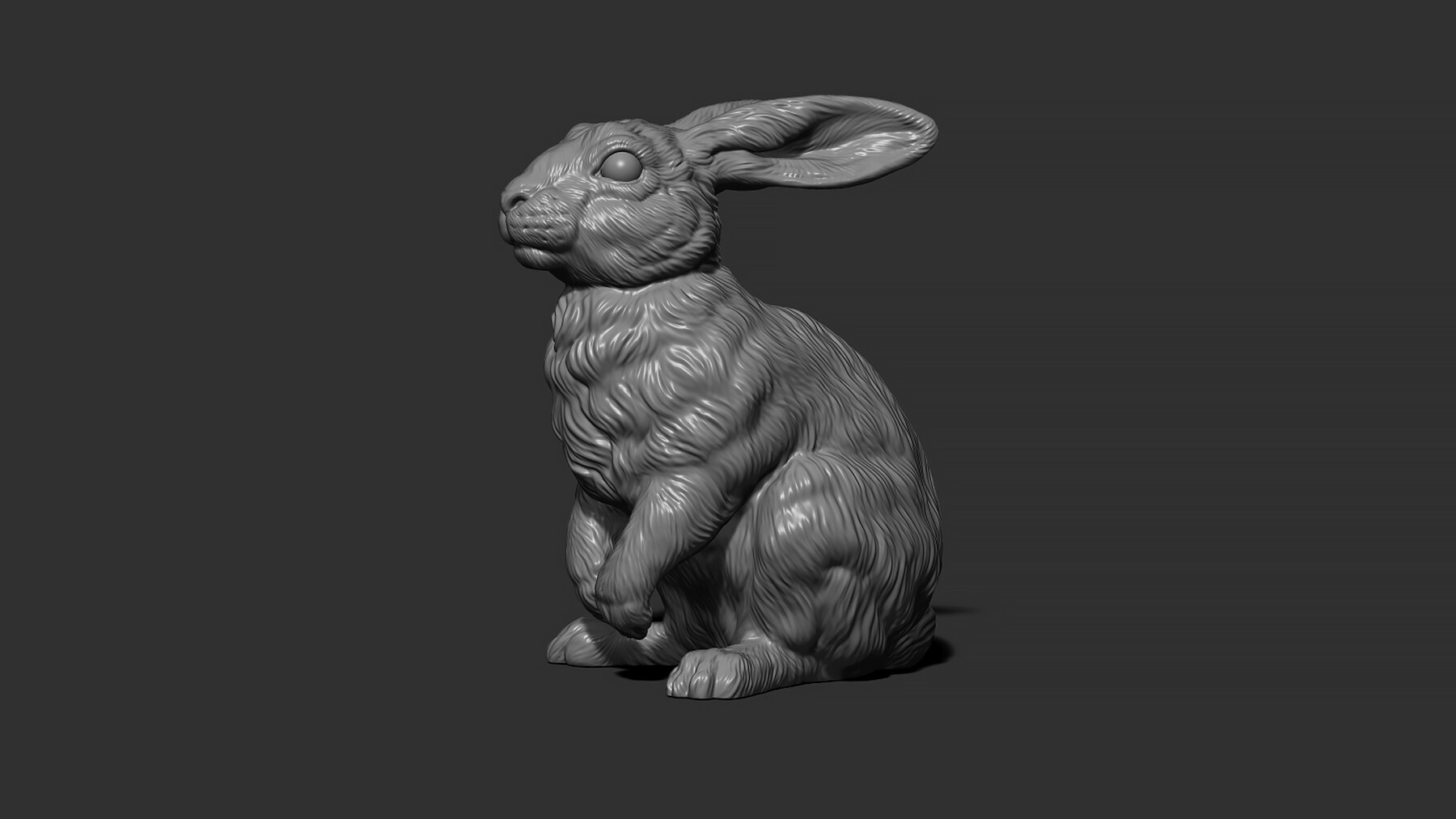 ArtStation - Rabbit sitting | Resources
