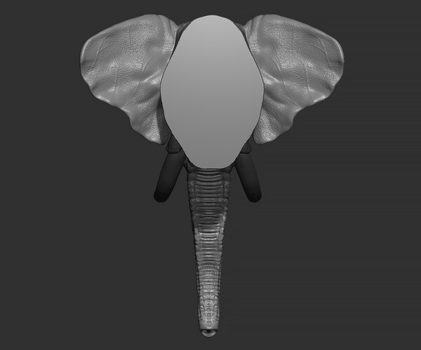 ArtStation - Elephant head with tusks | Resources