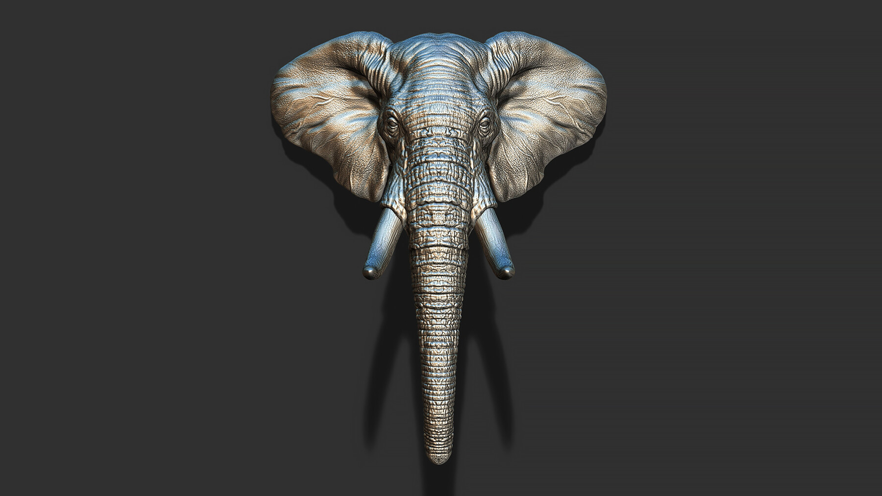ArtStation - Elephant head with tusks | Resources