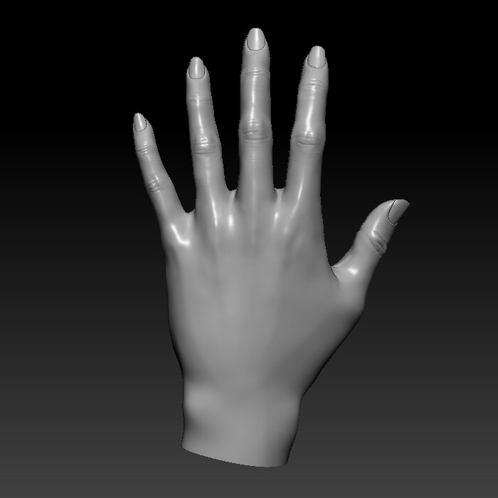 ArtStation - Hand 3D modeling | Resources