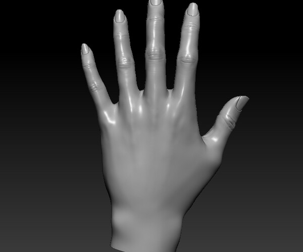 ArtStation - Hand 3D modeling | Resources