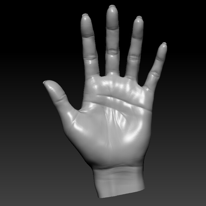 ArtStation - Hand 3D modeling | Resources