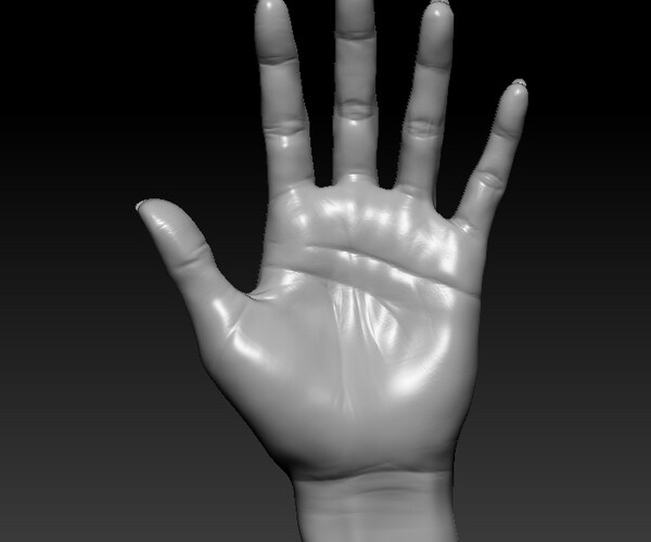 ArtStation - Hand 3D modeling | Resources