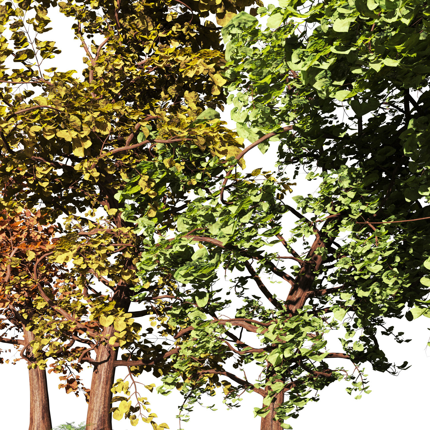 ArtStation - Twisted tree, Fantasy Garden, Jungle, roots | Game Assets