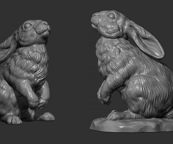 ArtStation - Hare looks up | Resources