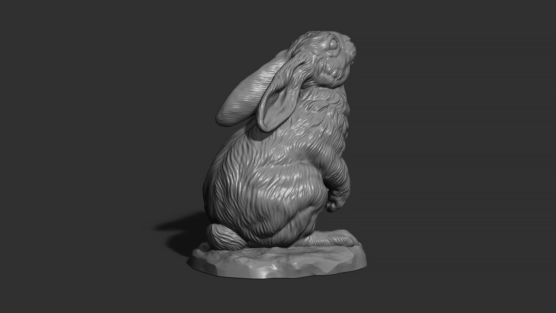 ArtStation - Hare looks up | Resources