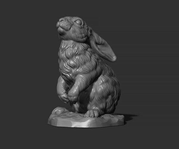 ArtStation - Hare looks up | Resources