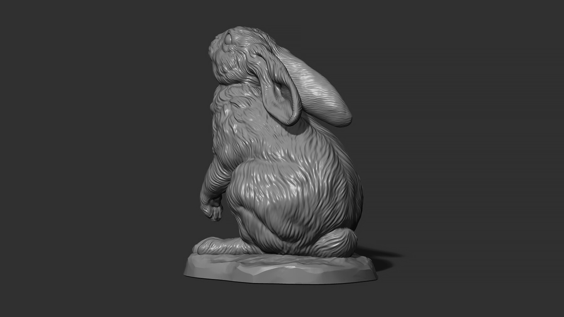 ArtStation - Hare looks up | Resources