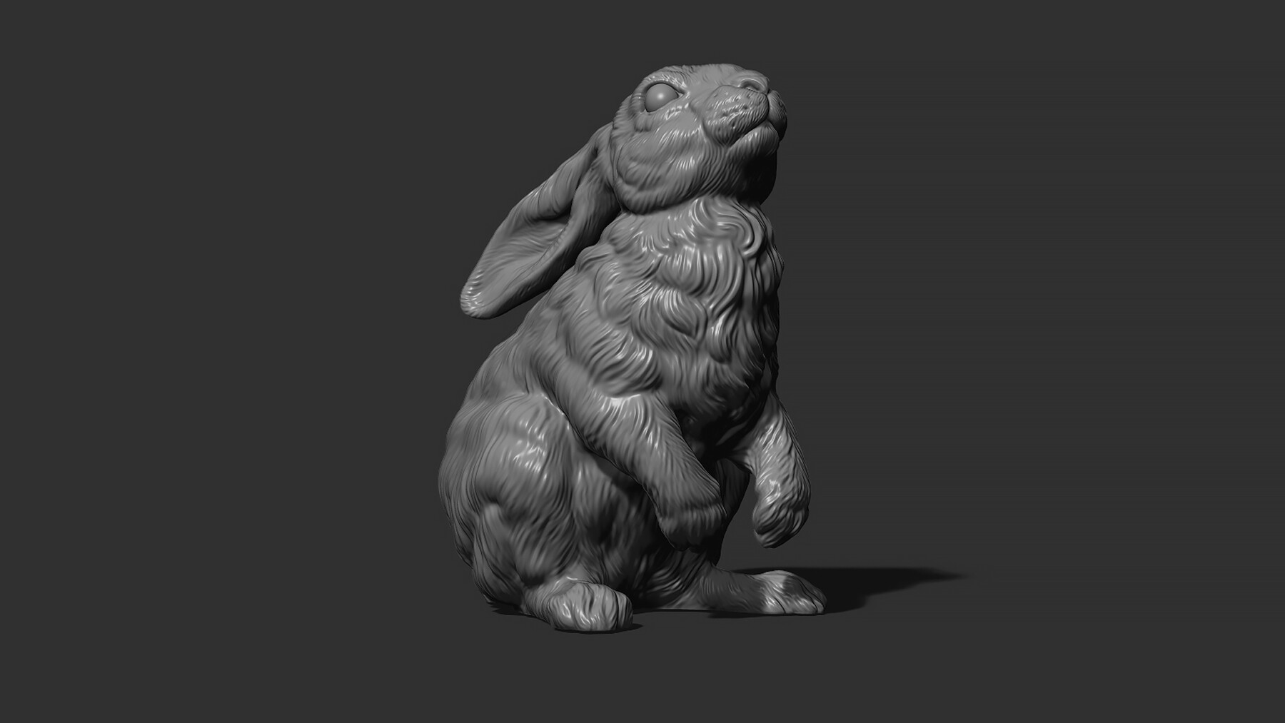ArtStation - Hare looks up | Resources