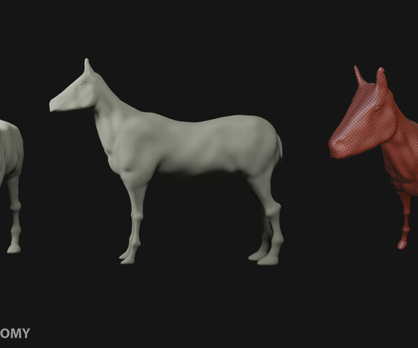 ArtStation - Beginner Horse Anatomy Model Kit | Resources