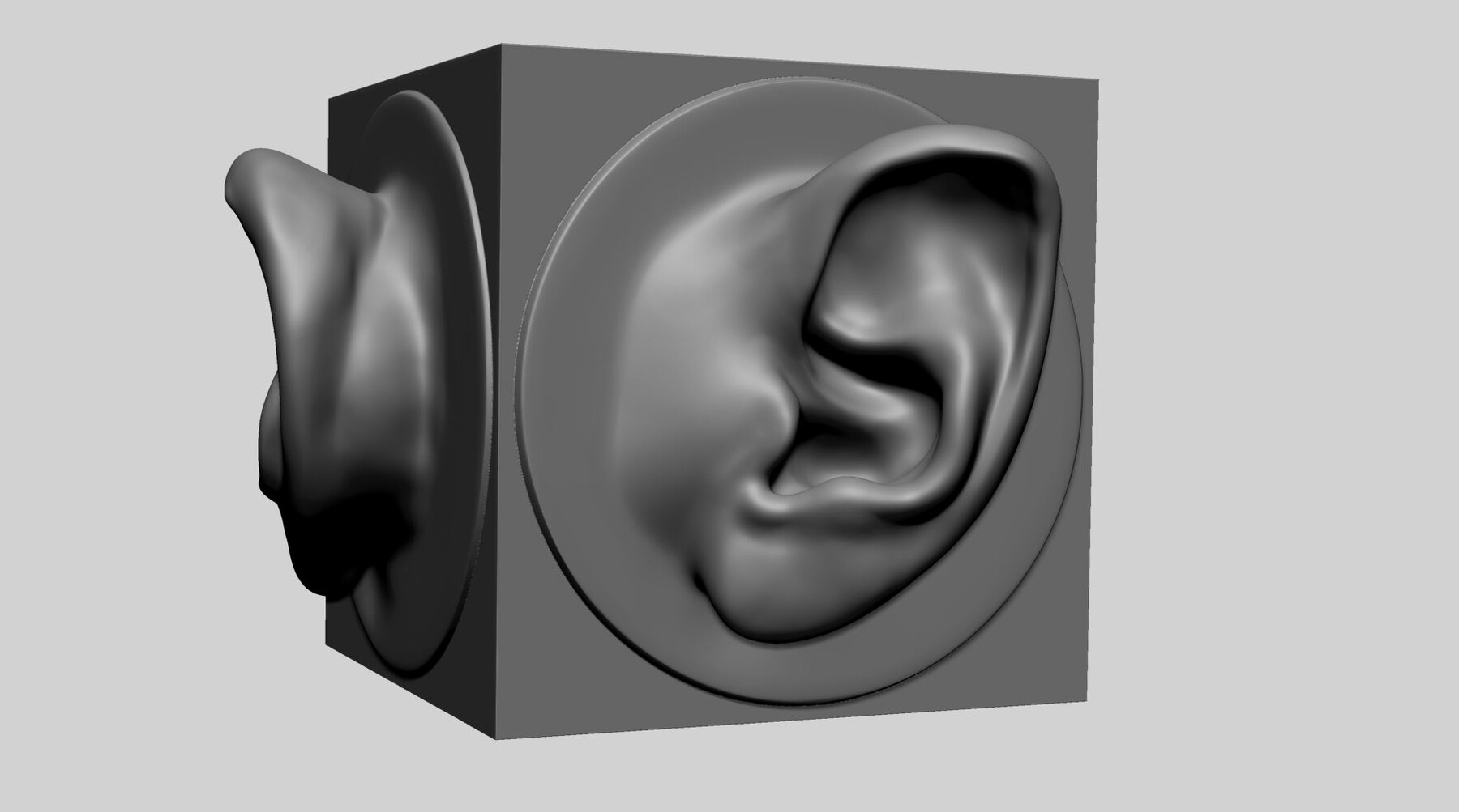 ArtStation - Ear Models for 3DPrint | Resources