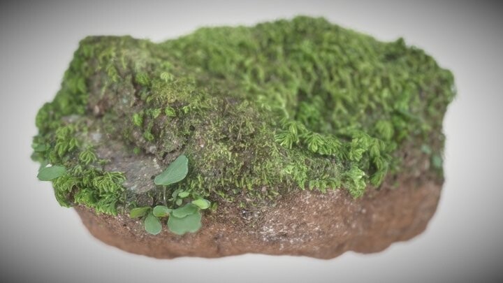 ArtStation - 3D Scanned Photorealistic Rocks & Woods (Unreal Engine 5.0 ...