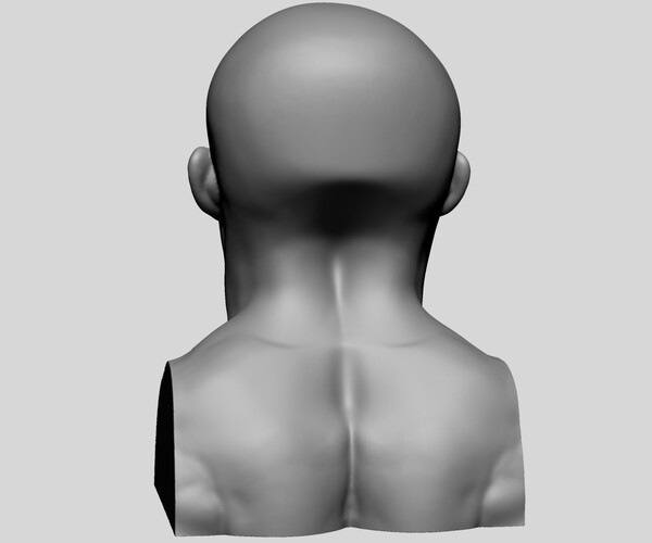 ArtStation - Male Head Printable A | Resources