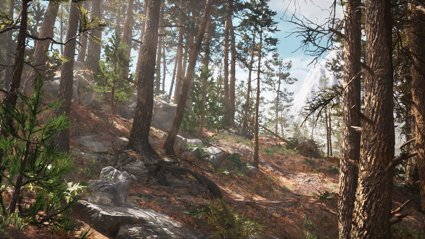 ArtStation - Rocky Pine Forest [Unreal Engine 4 & 5] | Game Assets