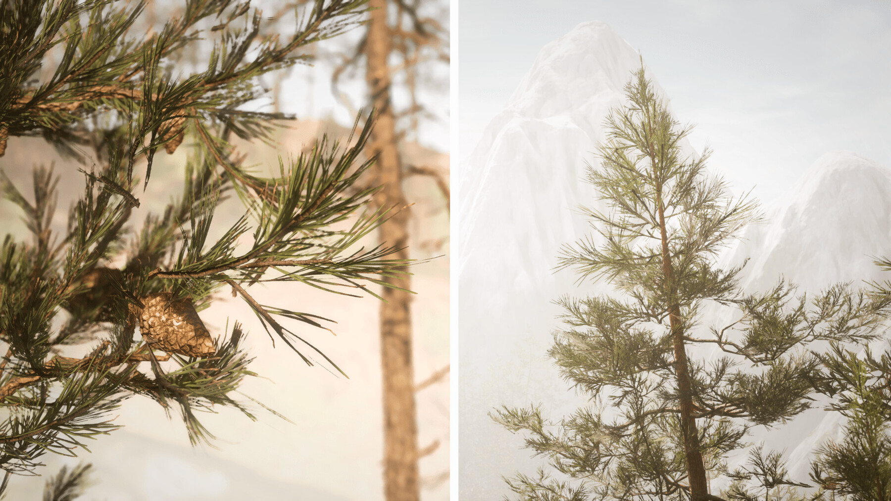 ArtStation - Rocky Pine Forest [Unreal Engine 4 & 5] | Game Assets