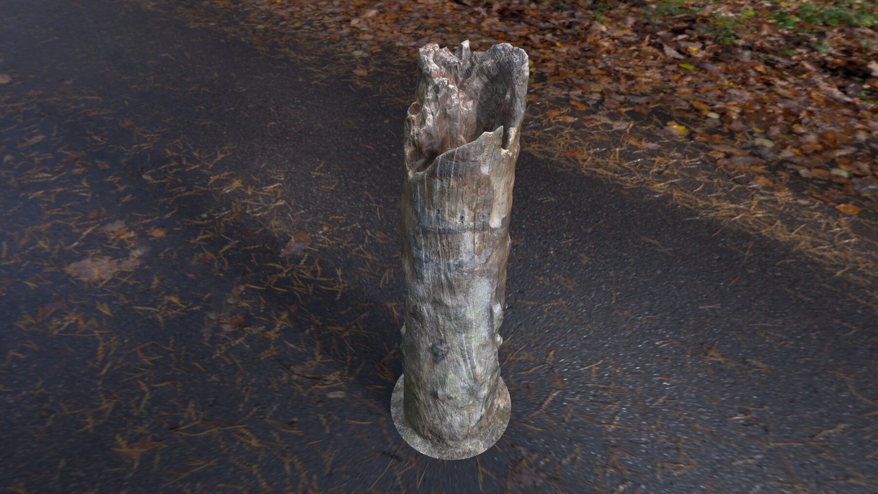 ArtStation - Tree Stump | Game Assets