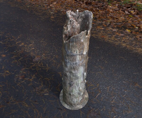 ArtStation - Tree Stump | Game Assets