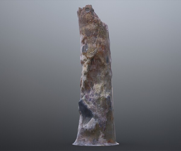 ArtStation - Tree Stump | Game Assets