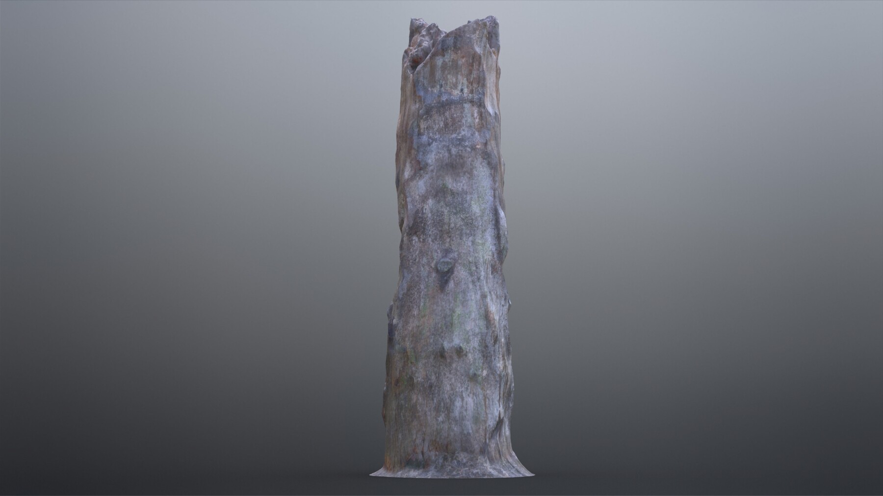 ArtStation - Tree Stump | Game Assets