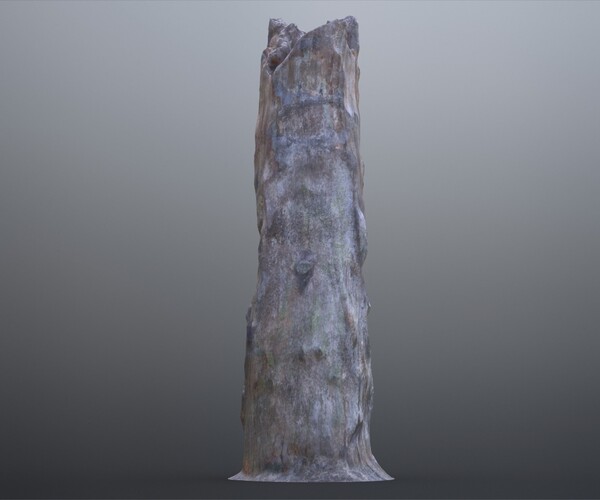 ArtStation - Tree Stump | Game Assets