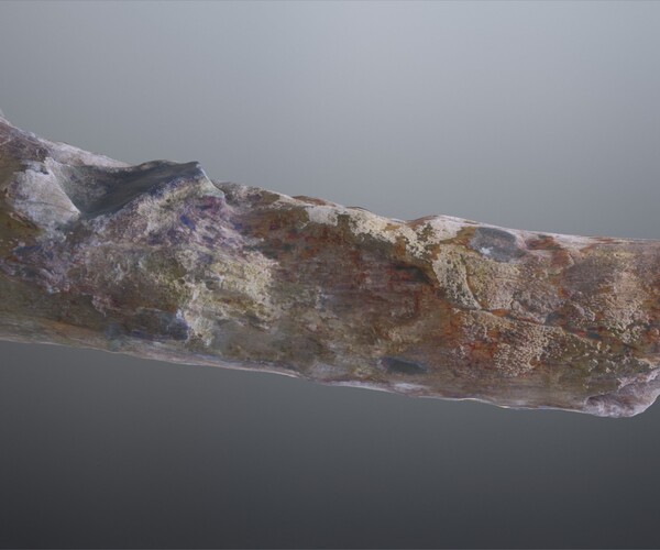 ArtStation - Tree Stump | Game Assets