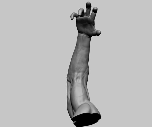 ArtStation - Arm Model Printable A | Resources