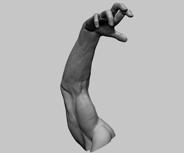 ArtStation - Arm Model Printable A | Resources