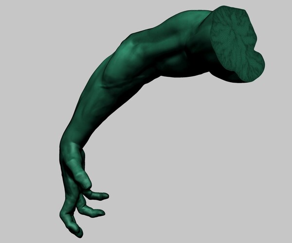 ArtStation - Arm Model Printable A | Resources