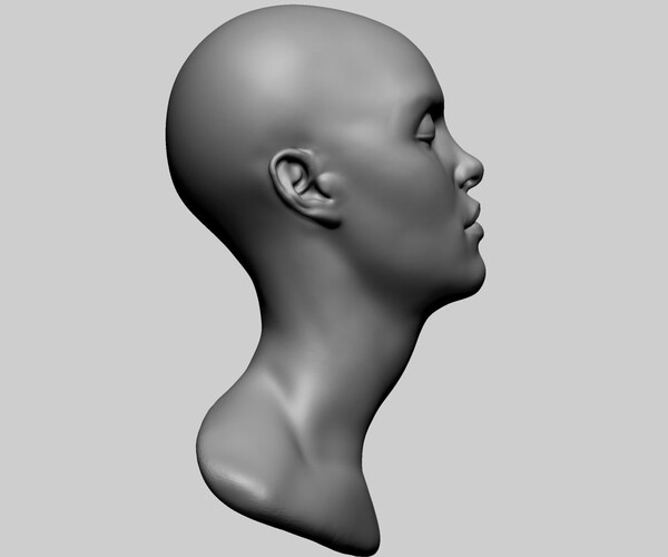 ArtStation - Base Female Head B | Resources