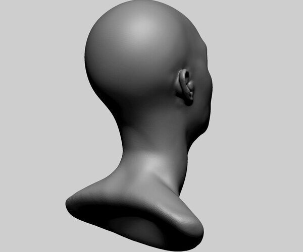ArtStation - Base Female Head B | Resources