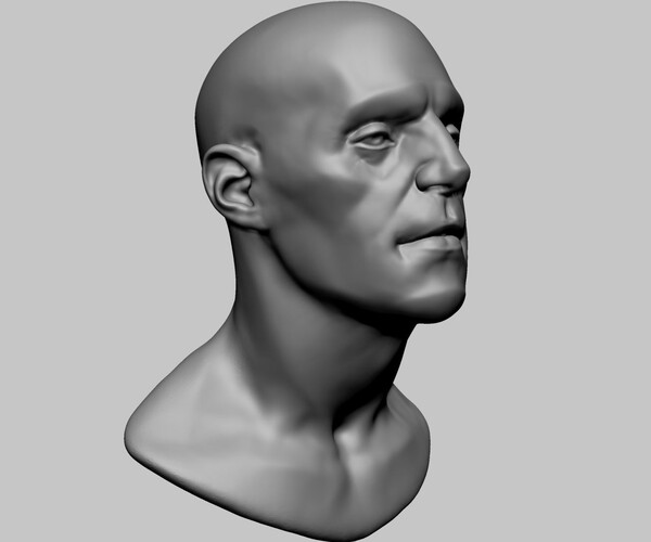 ArtStation - Base Male Head B | Resources