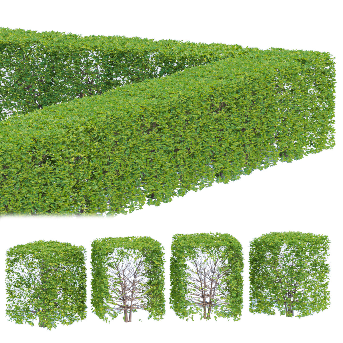 ArtStation - bushes collection vol 38 | Resources