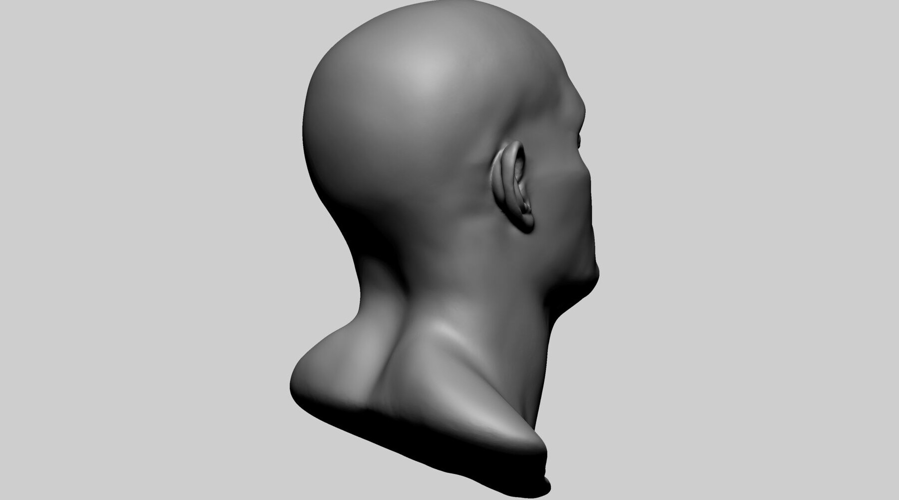 ArtStation - Base Male Head C | Resources