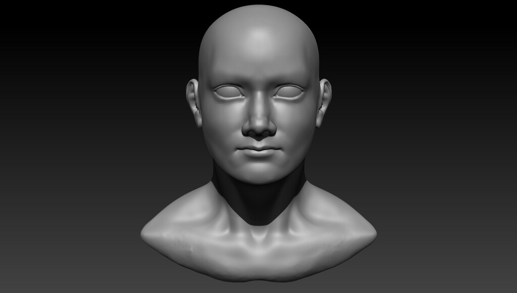 ArtStation - Base Sculpted Head | Resources