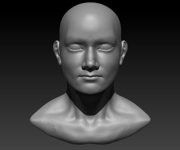 ArtStation - Base Sculpted Head | Resources