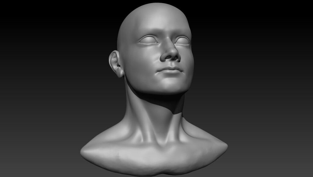 ArtStation - Base Sculpted Head | Resources