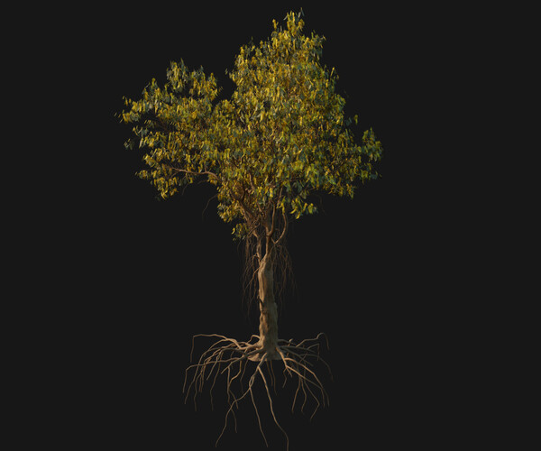 ArtStation - Tree Pack | Resources