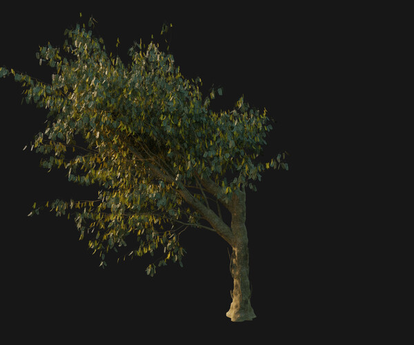 ArtStation - Tree Pack | Resources