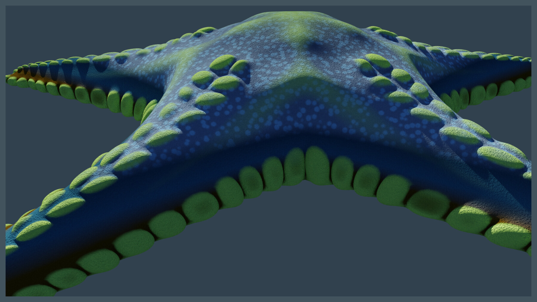 ArtStation - Starfish Variety Pack 2 | Game Assets