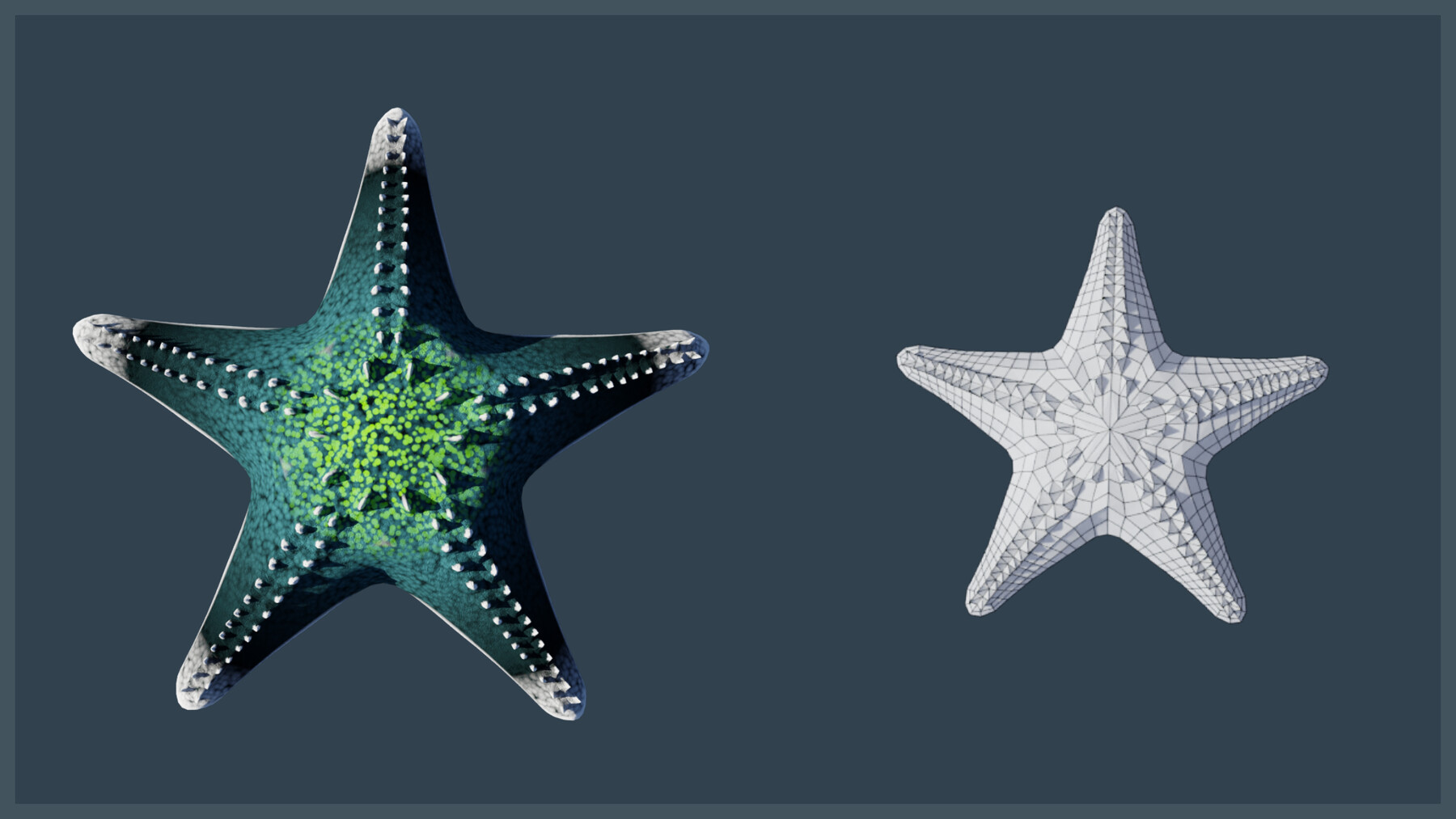 ArtStation - Starfish Variety Pack 2 | Game Assets