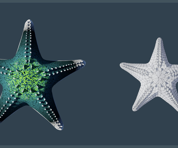 ArtStation - Starfish Variety Pack 2 | Game Assets
