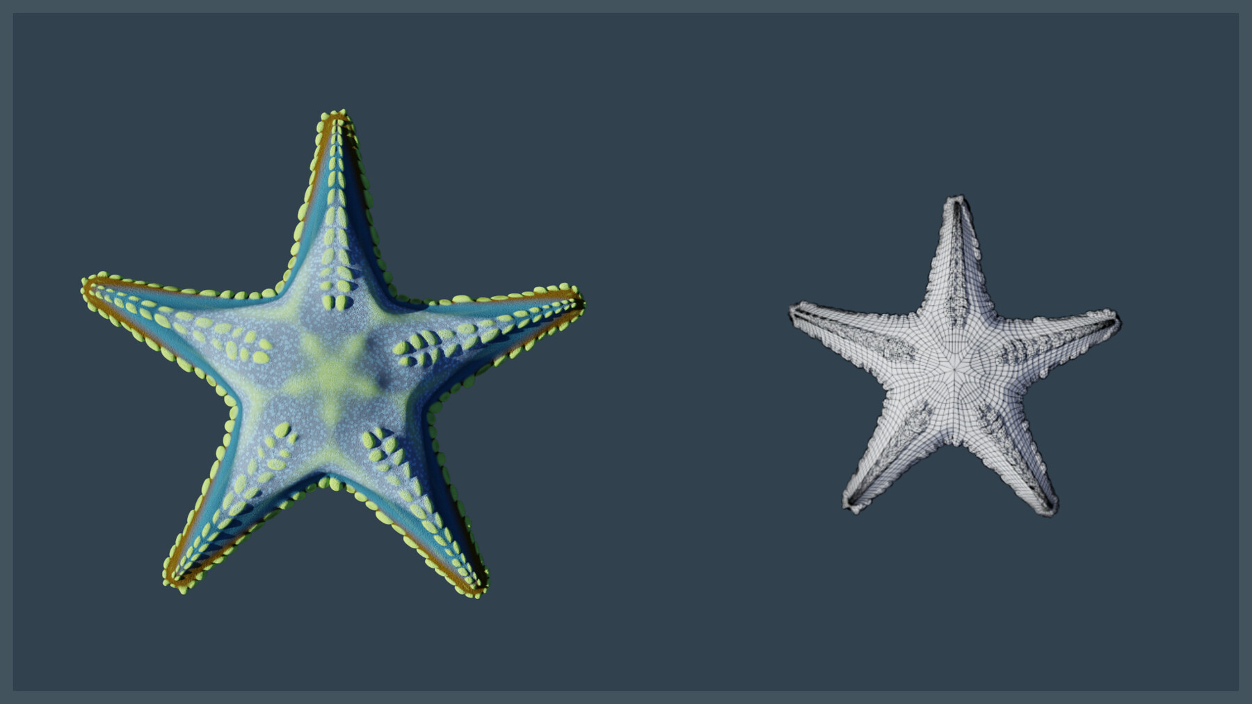 ArtStation - Starfish Variety Pack 2 | Game Assets