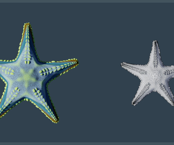 ArtStation - Starfish Variety Pack 2 | Game Assets