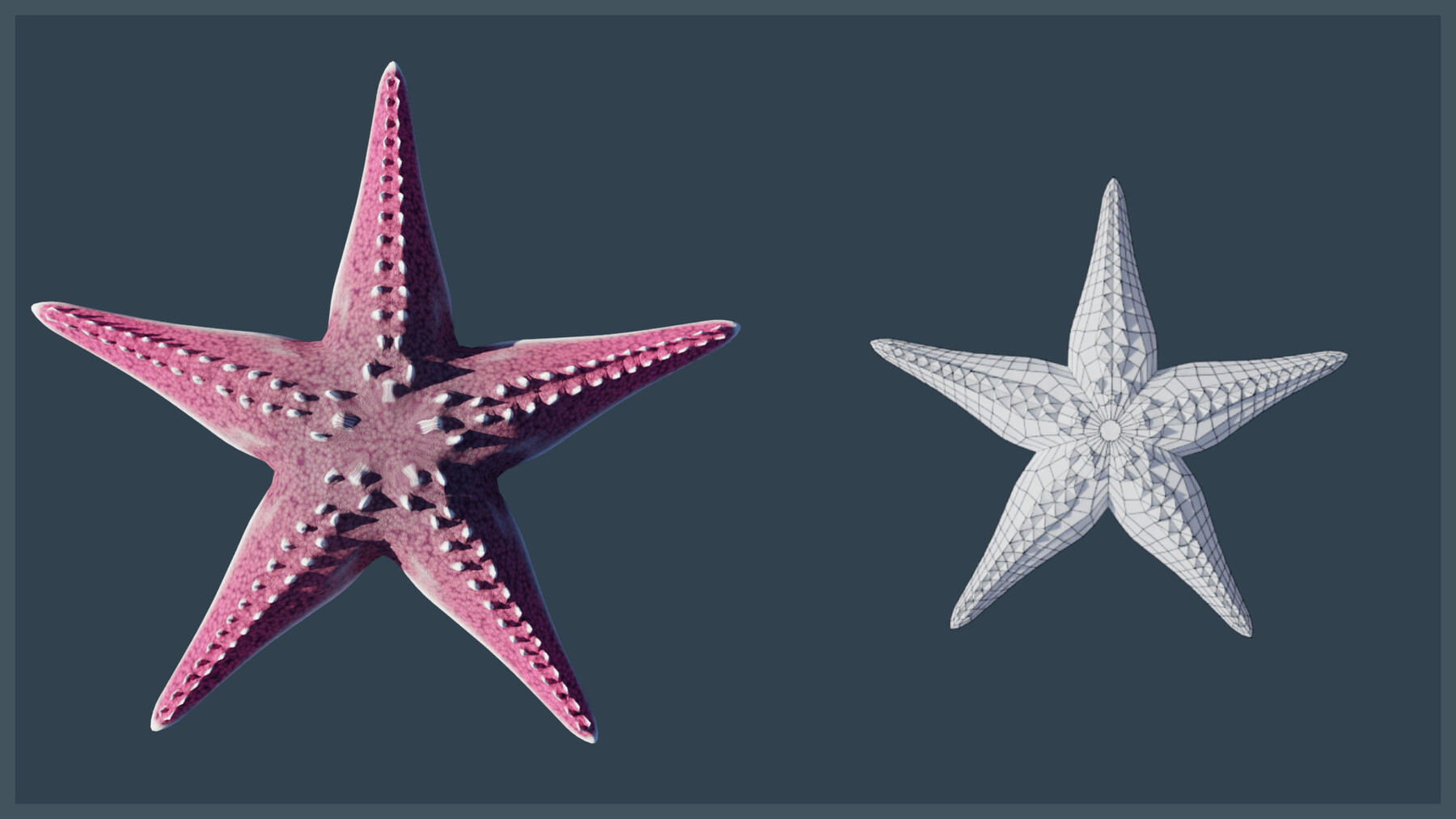 ArtStation - Starfish Variety Pack 3 | Game Assets