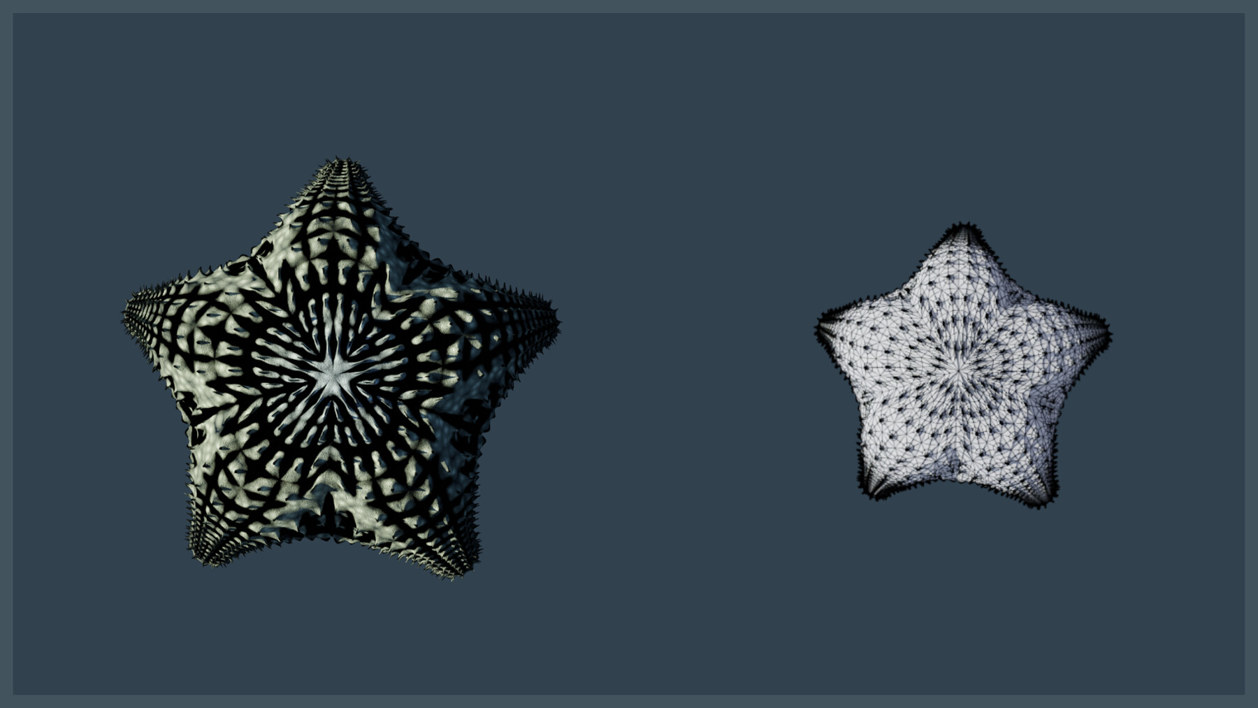 ArtStation - Starfish Variety Pack 3 | Game Assets