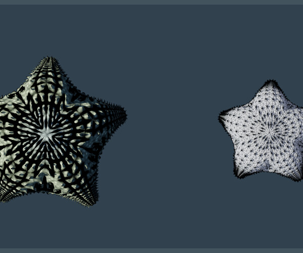 ArtStation - Starfish Variety Pack 3 | Game Assets