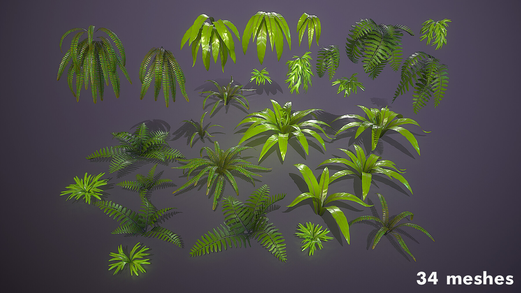 ArtStation - Ferns Pack | Game Assets