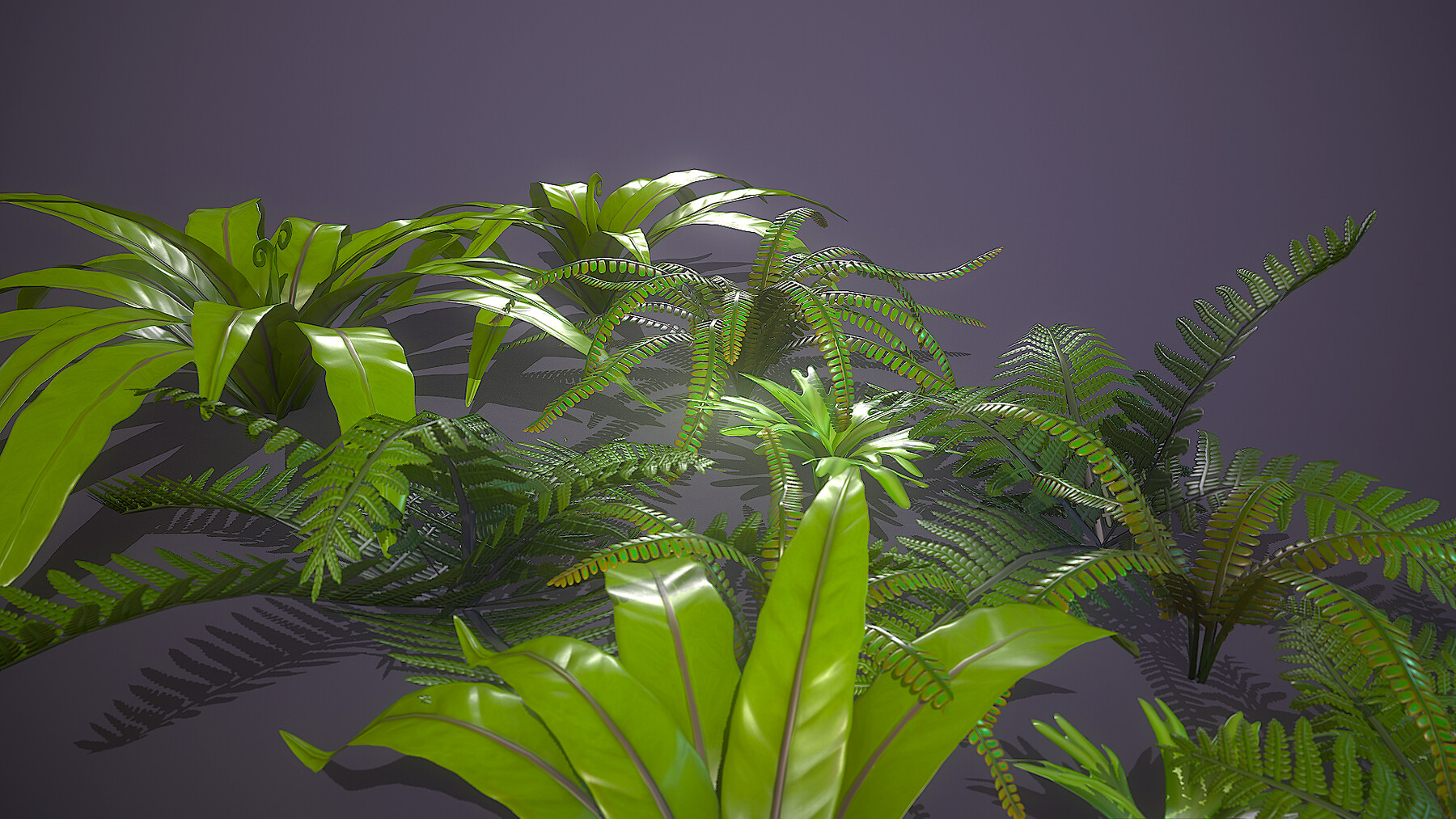 ArtStation - Ferns Pack | Game Assets